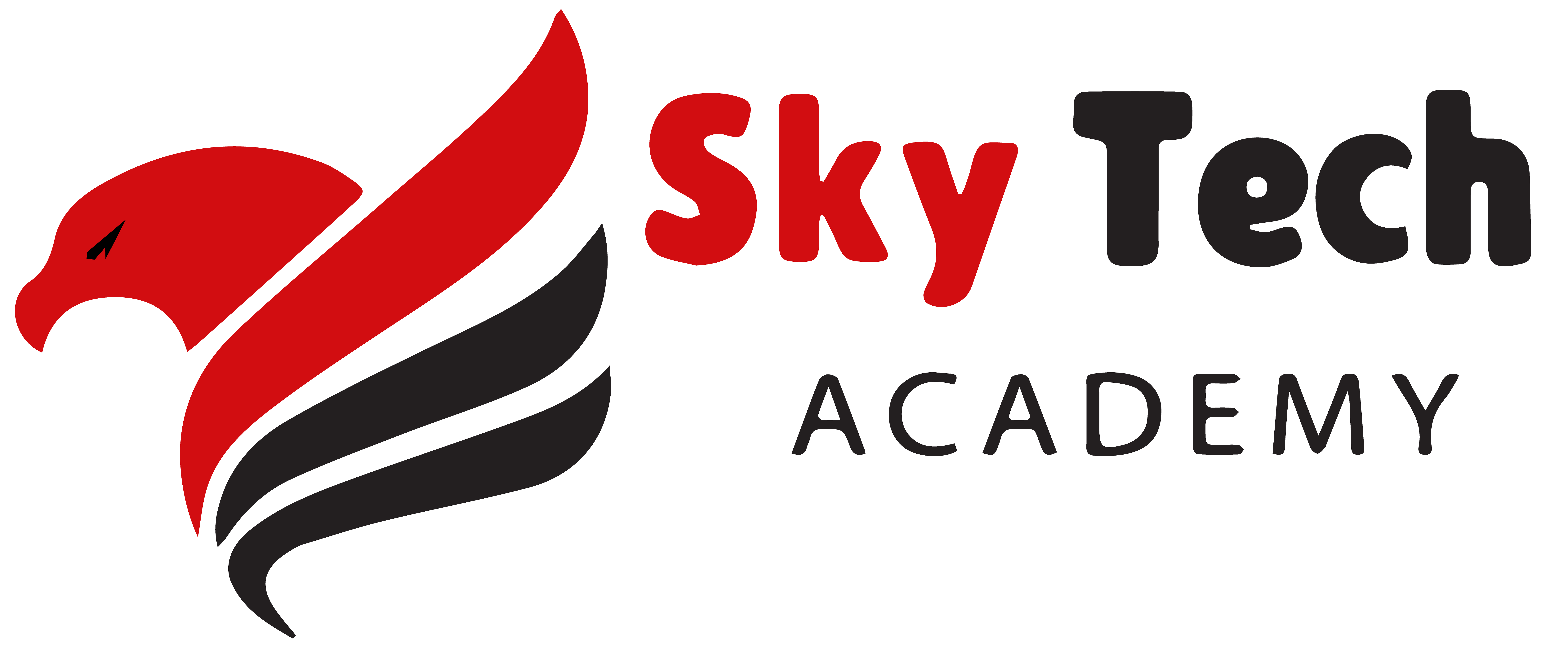 ONLINE TRAINING AND CERTIFICATION ACADEMY | Skytech Academy